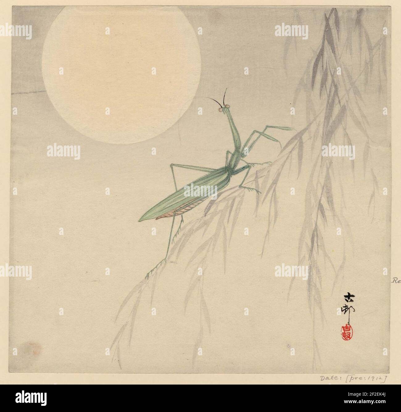 Praying Mantis and Full Moon by Koson Stock Photo - Alamy