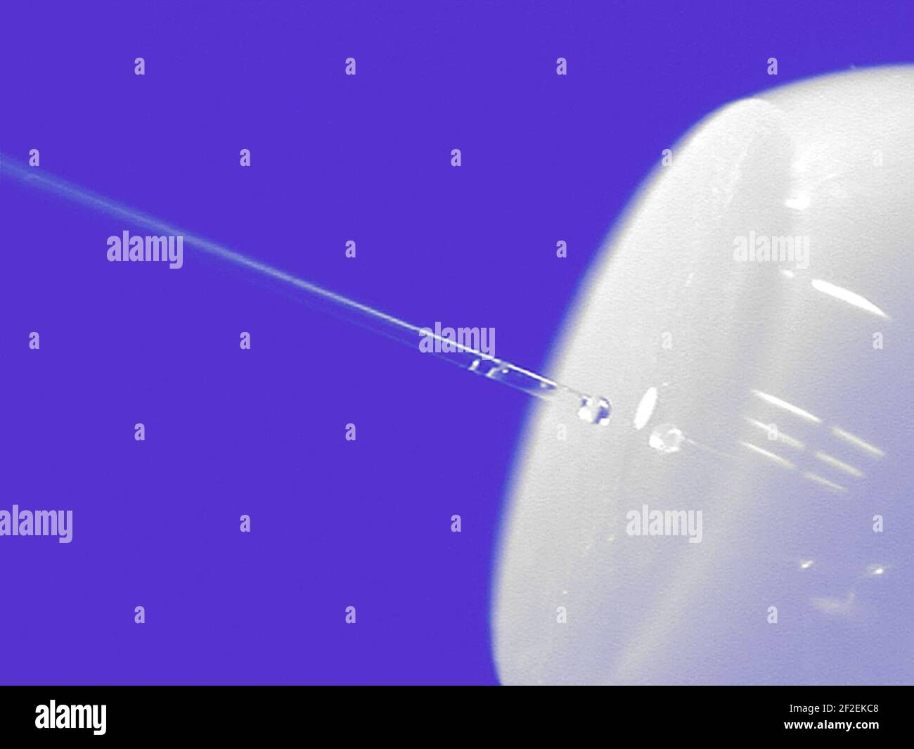 Very small holes hi-res stock photography and images - Alamy