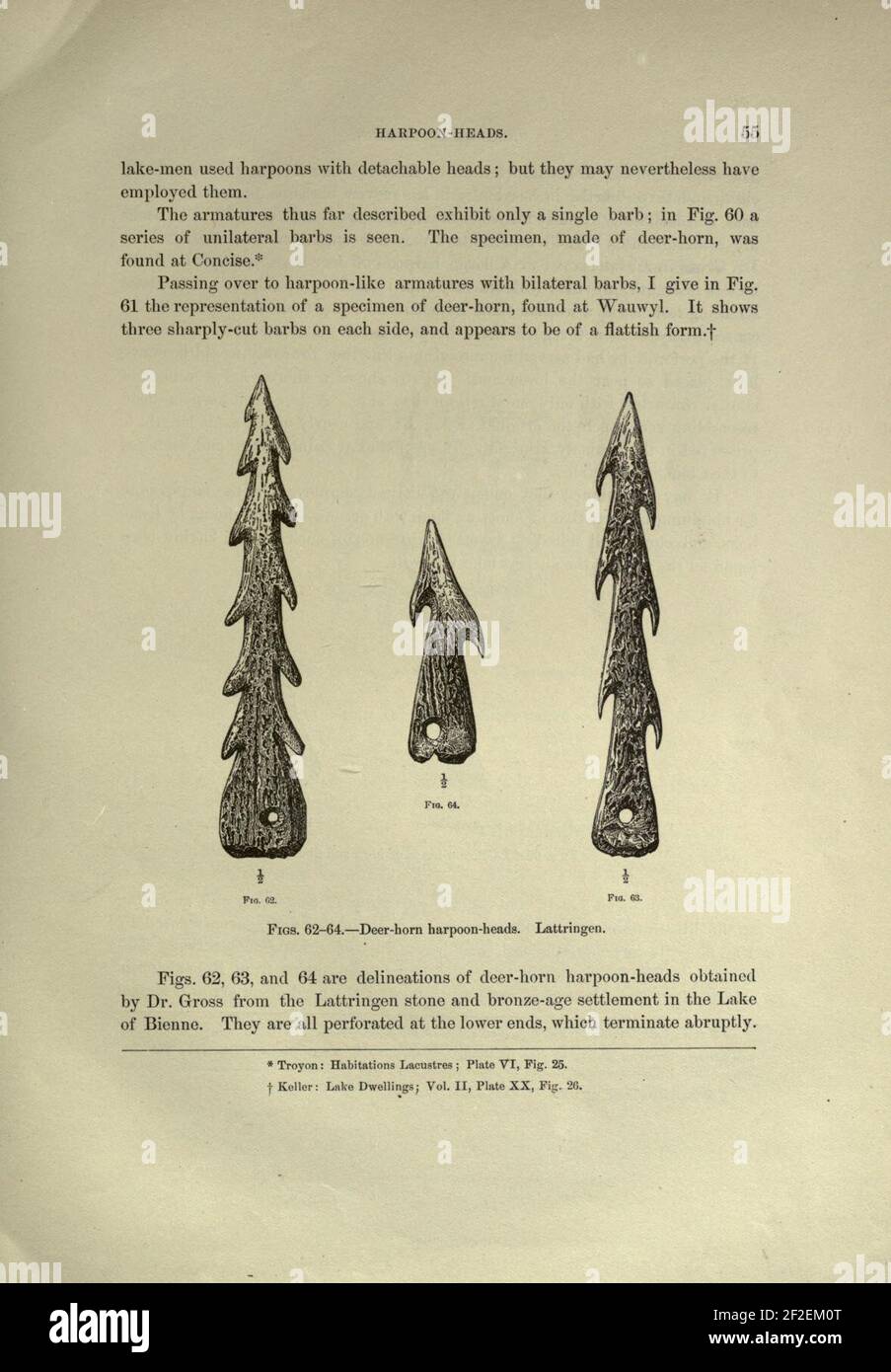 Prehistoric fishing in Europe and North America (Page 55 Stock Photo ...