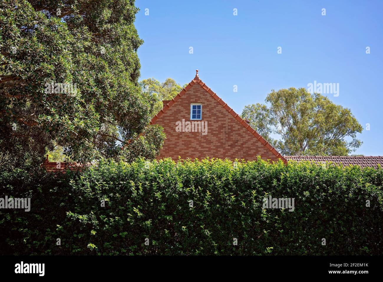 A triangular shaped brick roof-line of a home hidden behind a thick ...