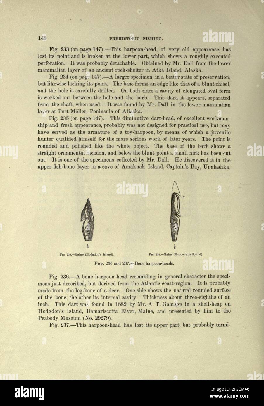 Prehistoric fishing in Europe and North America (Page 148 Stock Photo ...