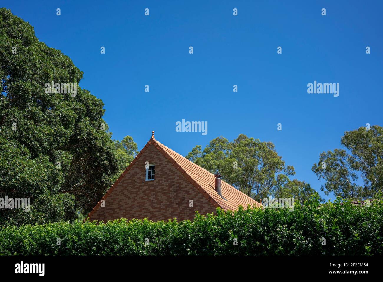 A triangular shaped brick roof-line of a home hidden behind a thick ...