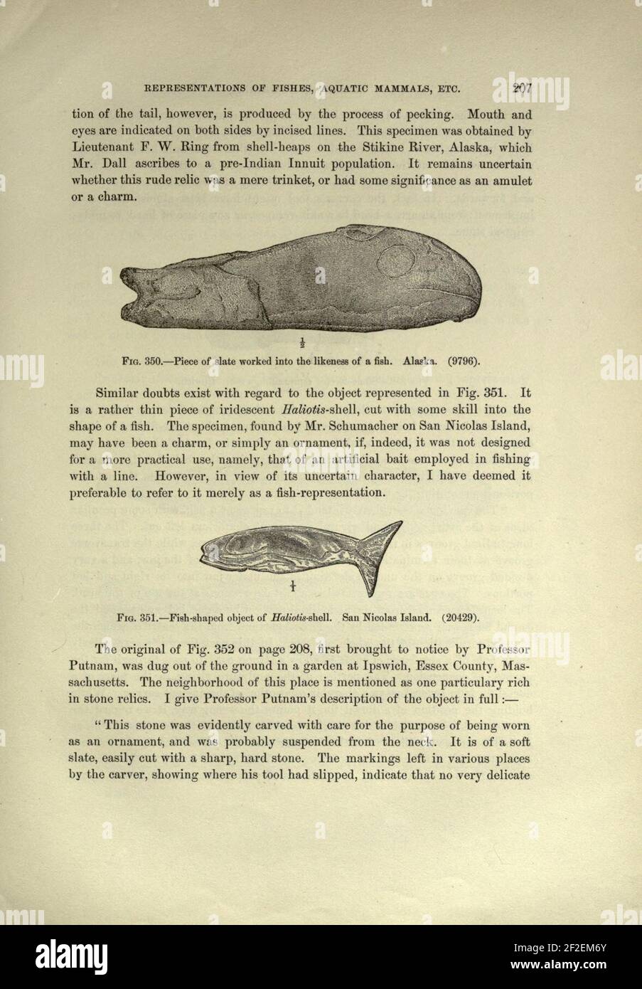 Prehistoric fishing in Europe and North America (Page 207 Stock Photo ...