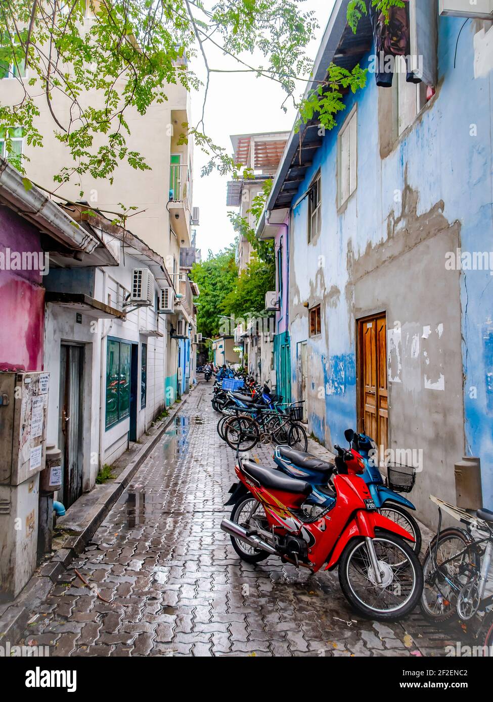 Male City