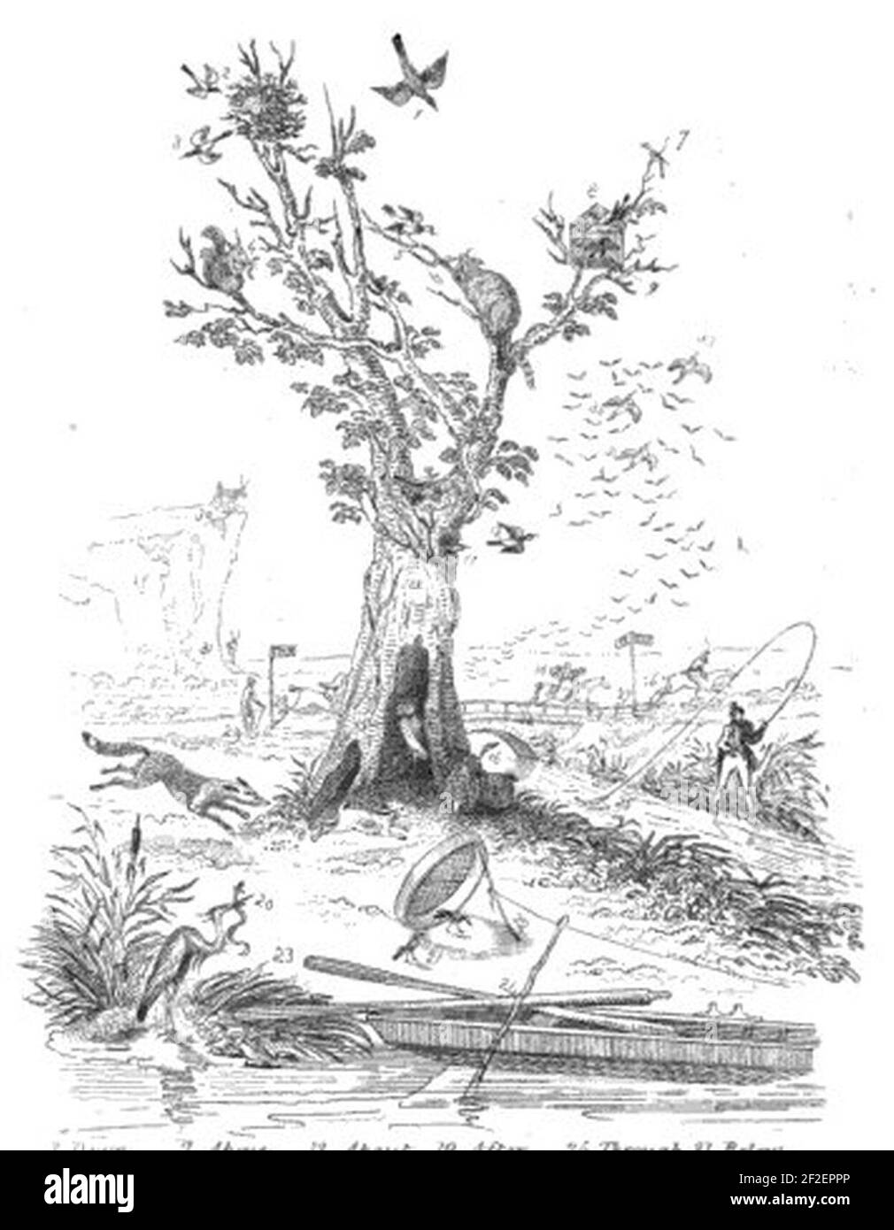 Prepositions by JH Hurdis Stock Photo - Alamy