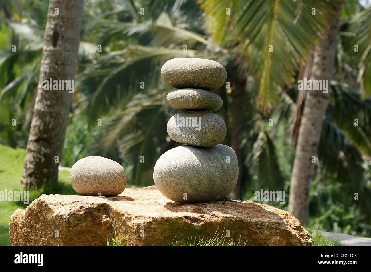 Pile of pebble Stones against the background of palm trees Stock Photo ...