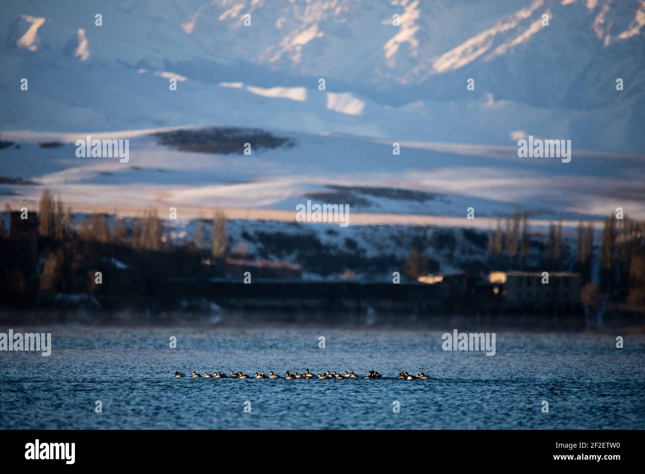 Winter Kayaking on Issyk Kol Lake in Kyrgyzstan Stock Photo - Alamy