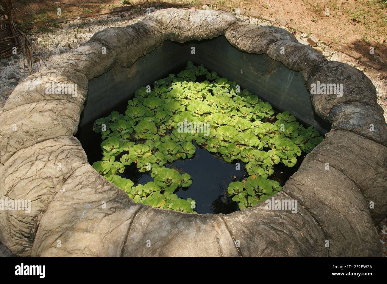 Old well in a poor village peasants, Kerala, South India Stock Photo ...