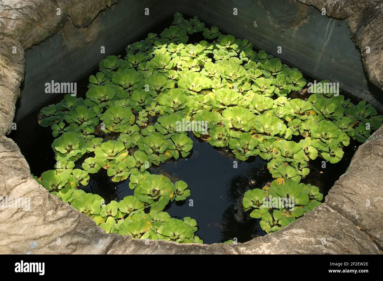 Old well in a poor village peasants, Kerala, South India Stock Photo ...