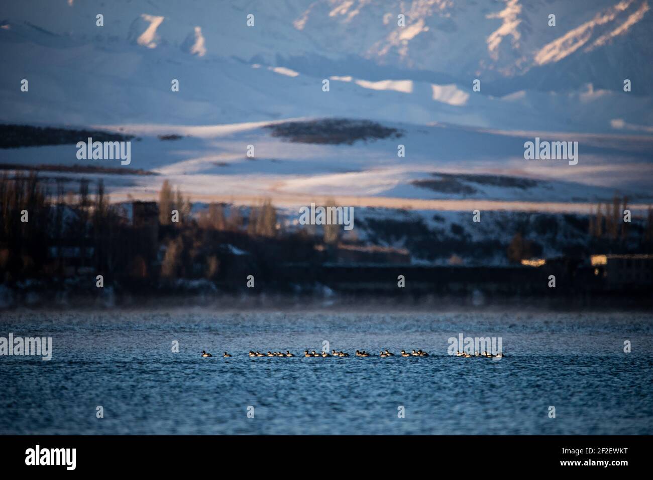 Winter Kayaking on Issyk Kol Lake in Kyrgyzstan Stock Photo - Alamy