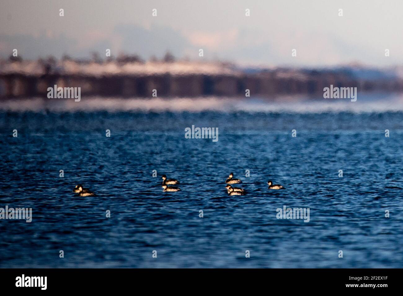 Winter Kayaking on Issyk Kol Lake in Kyrgyzstan Stock Photo - Alamy