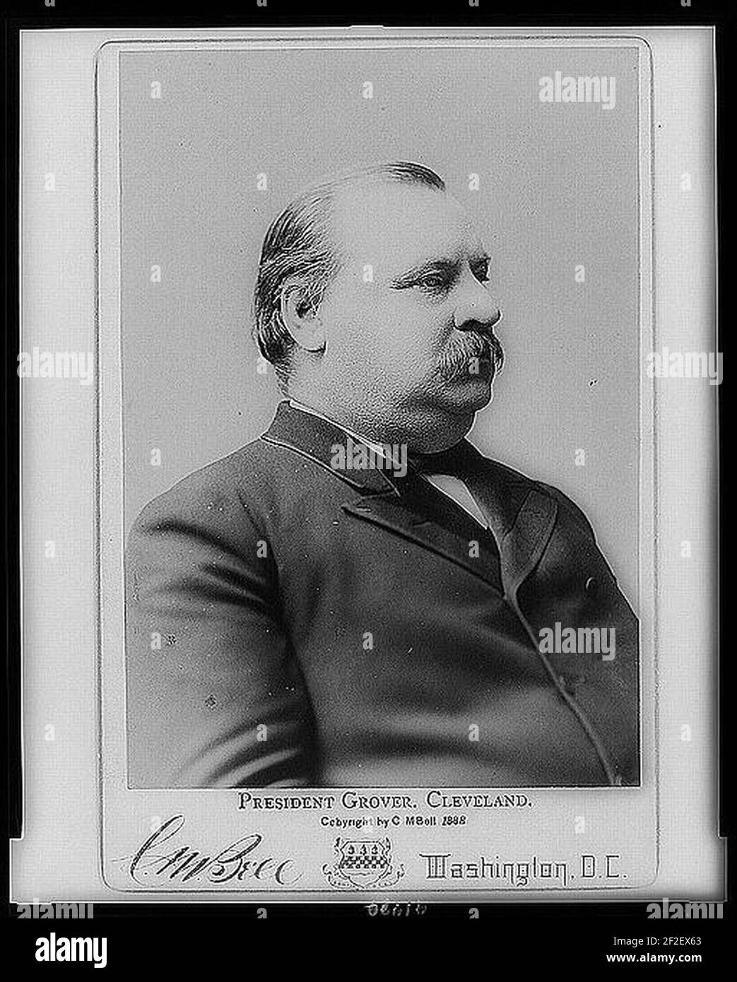 President Grover Cleveland, half-length portrait, facing right Stock ...