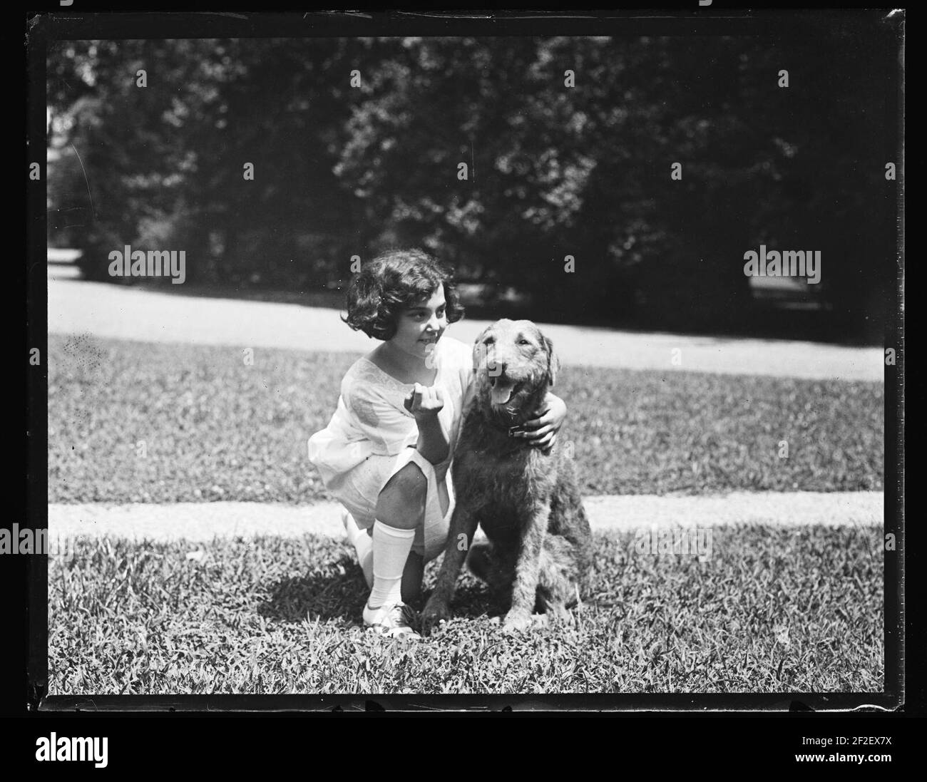 Harding's dog Laddie Boy at the White House, Washington, D.C Stock ...