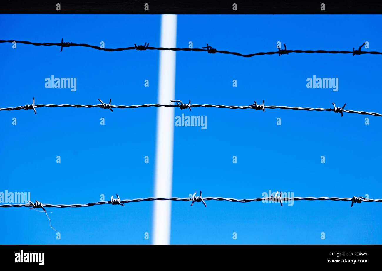 three lines of barbed wire against a blue background Stock Photo - Alamy