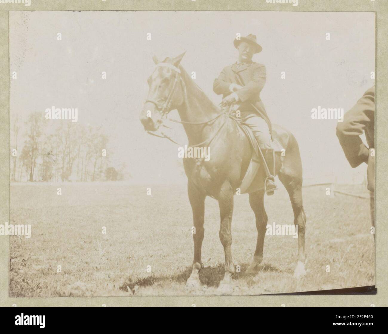 President Roosevelt on his horse Renown Stock Photo - Alamy