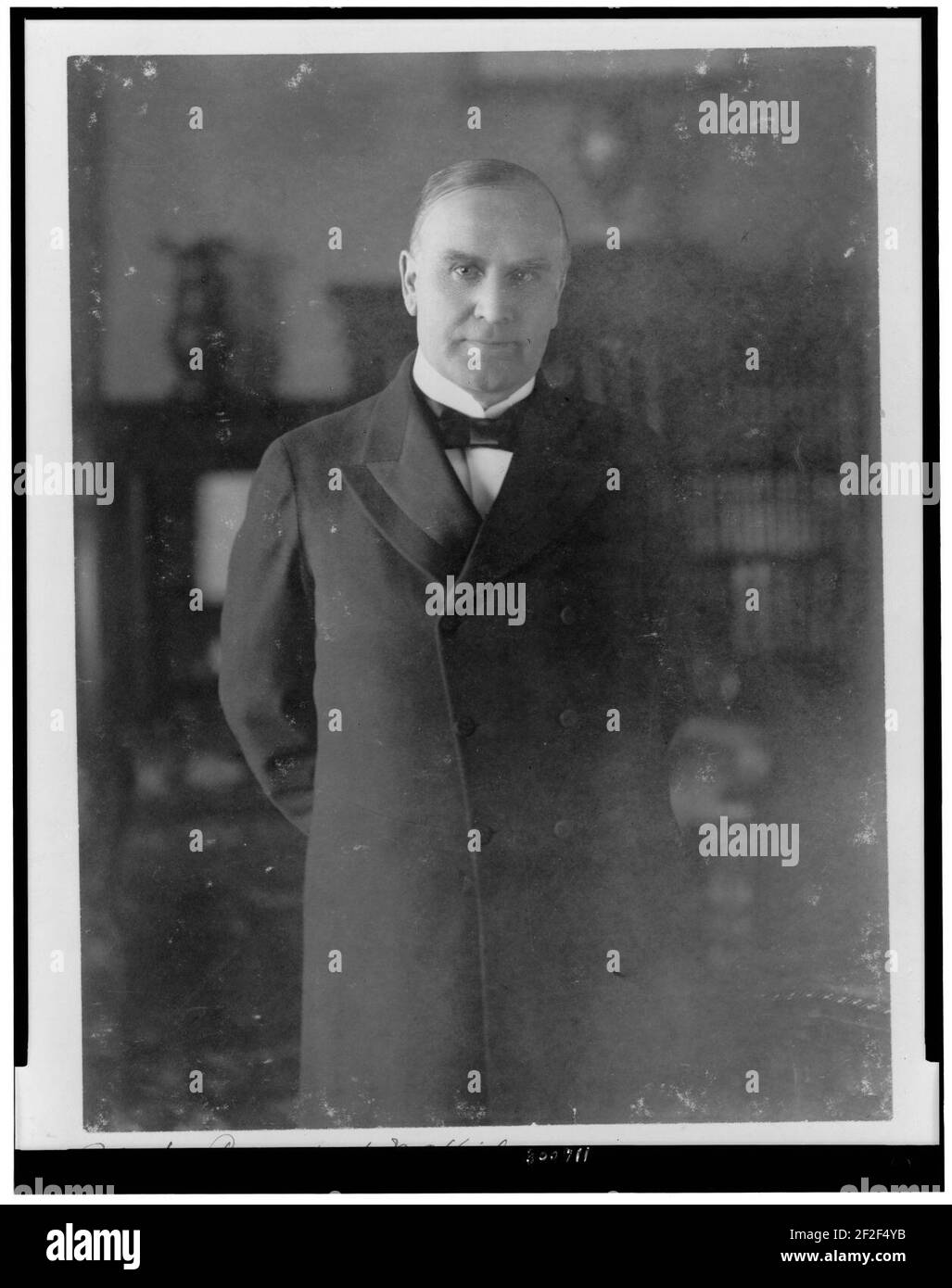 President William McKinley, three-quarter length portrait, standing ...