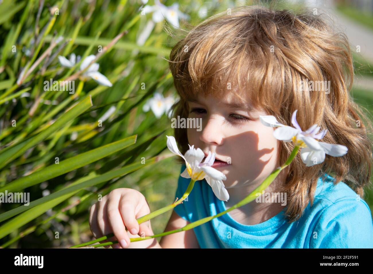 Boy Smelling Flower High Resolution Stock Photography and Images - Alamy