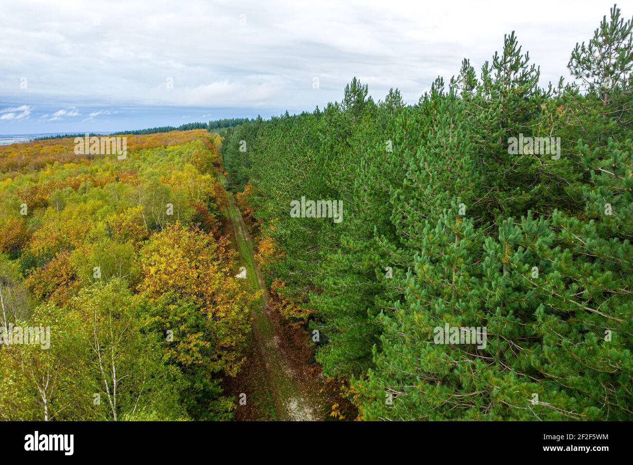 Half colored hi-res stock photography and images - Alamy