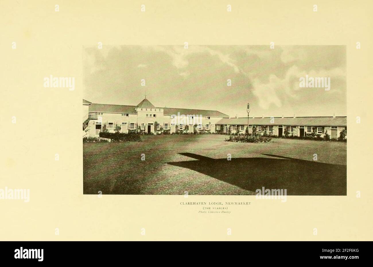 Pretty polly hi-res stock photography and images - Alamy