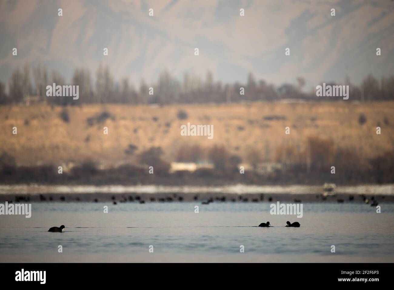 Winter Kayaking on Issyk Kol Lake in Kyrgyzstan Stock Photo - Alamy