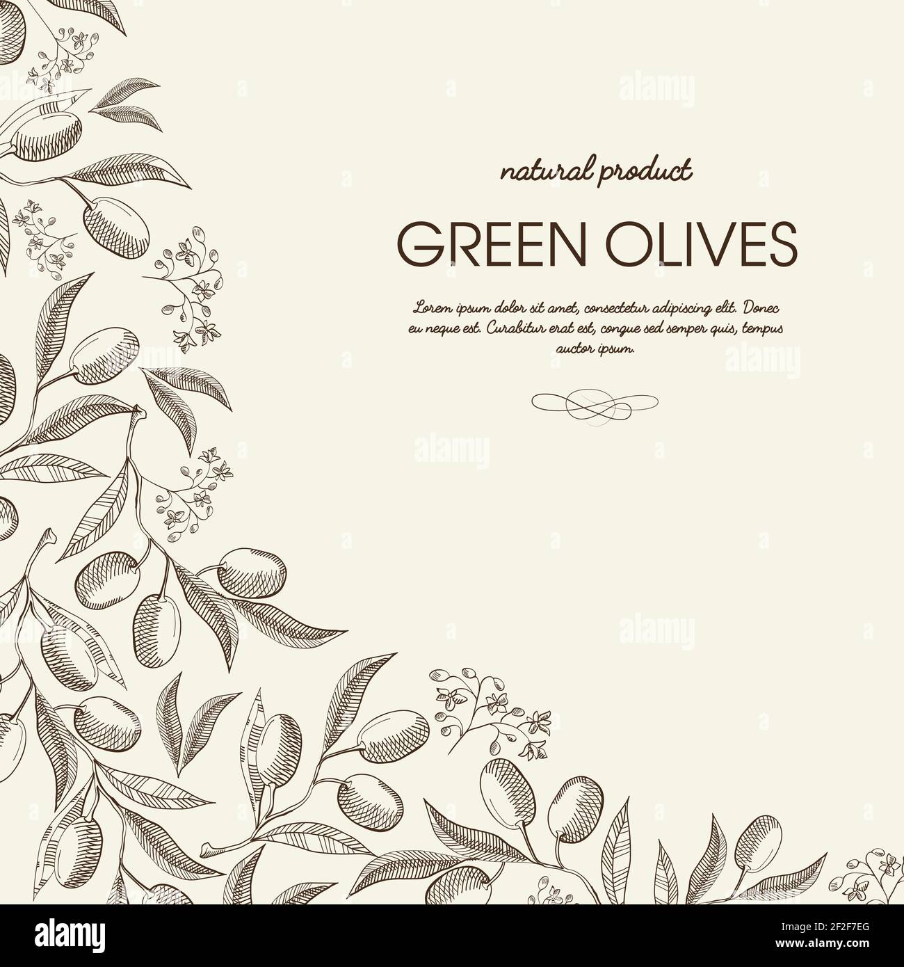 Abstract vintage natural poster with green olives branches in sketch ...