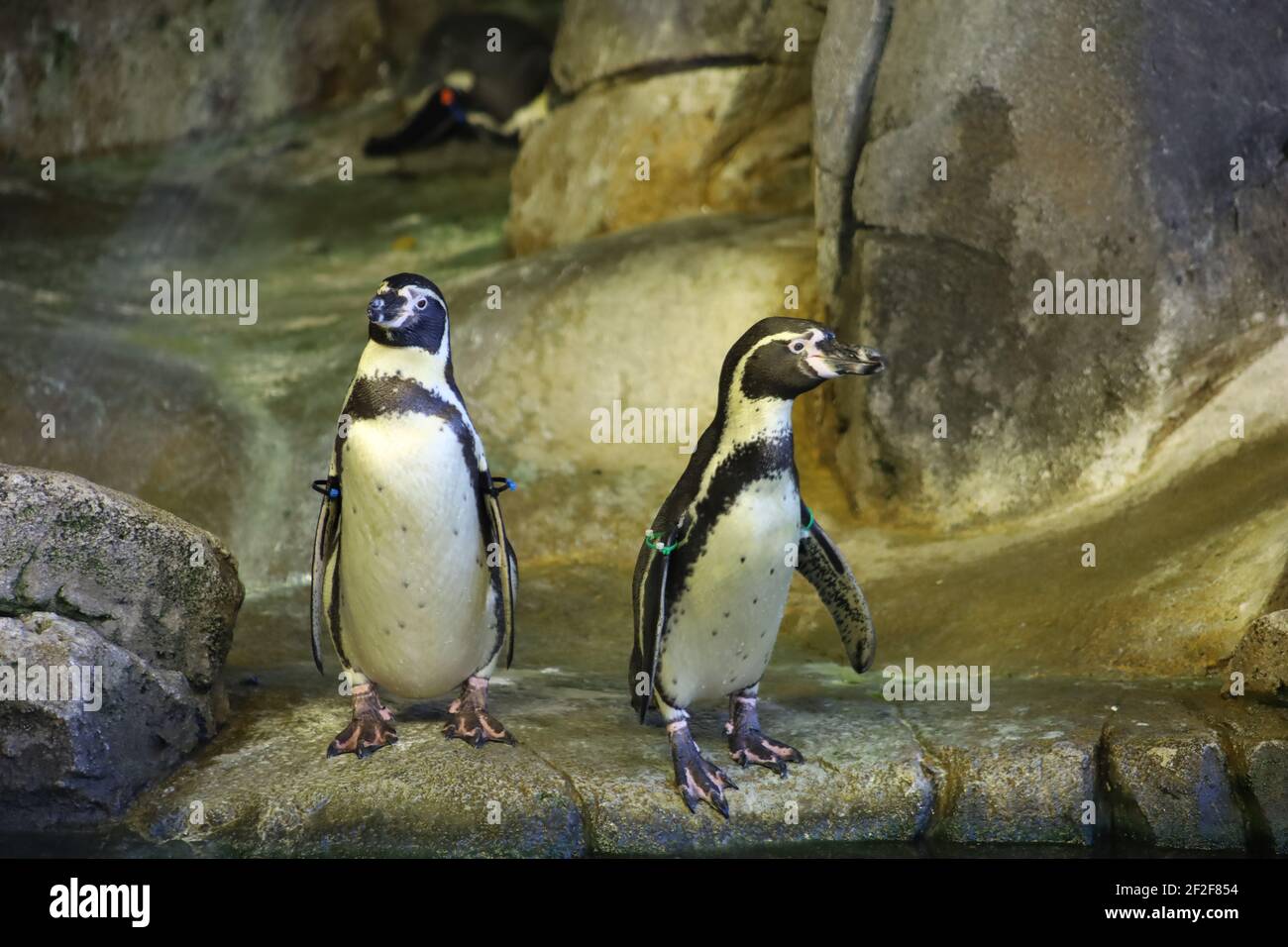 Kansas City Wallpaper High Resolution Stock Photography and Images - Alamy