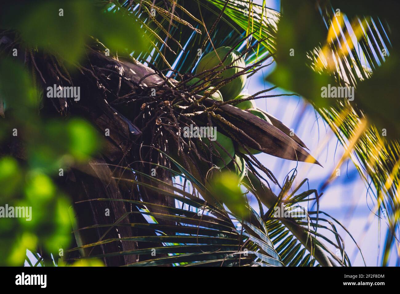 Bud scott hi-res stock photography and images - Alamy