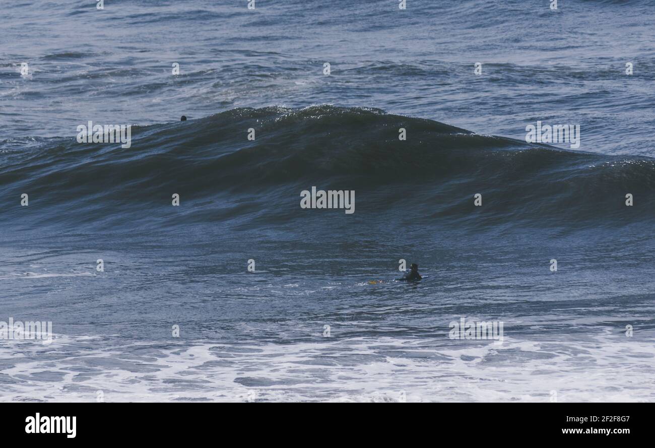 Amazing shot professional surfer hi-res stock photography and images ...