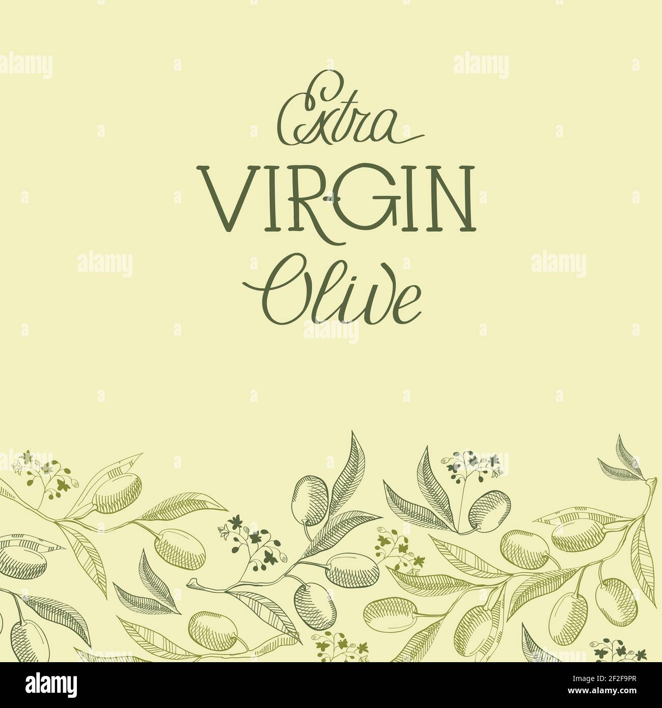 Abstract green sketch natural template with calligraphic text and olive ...
