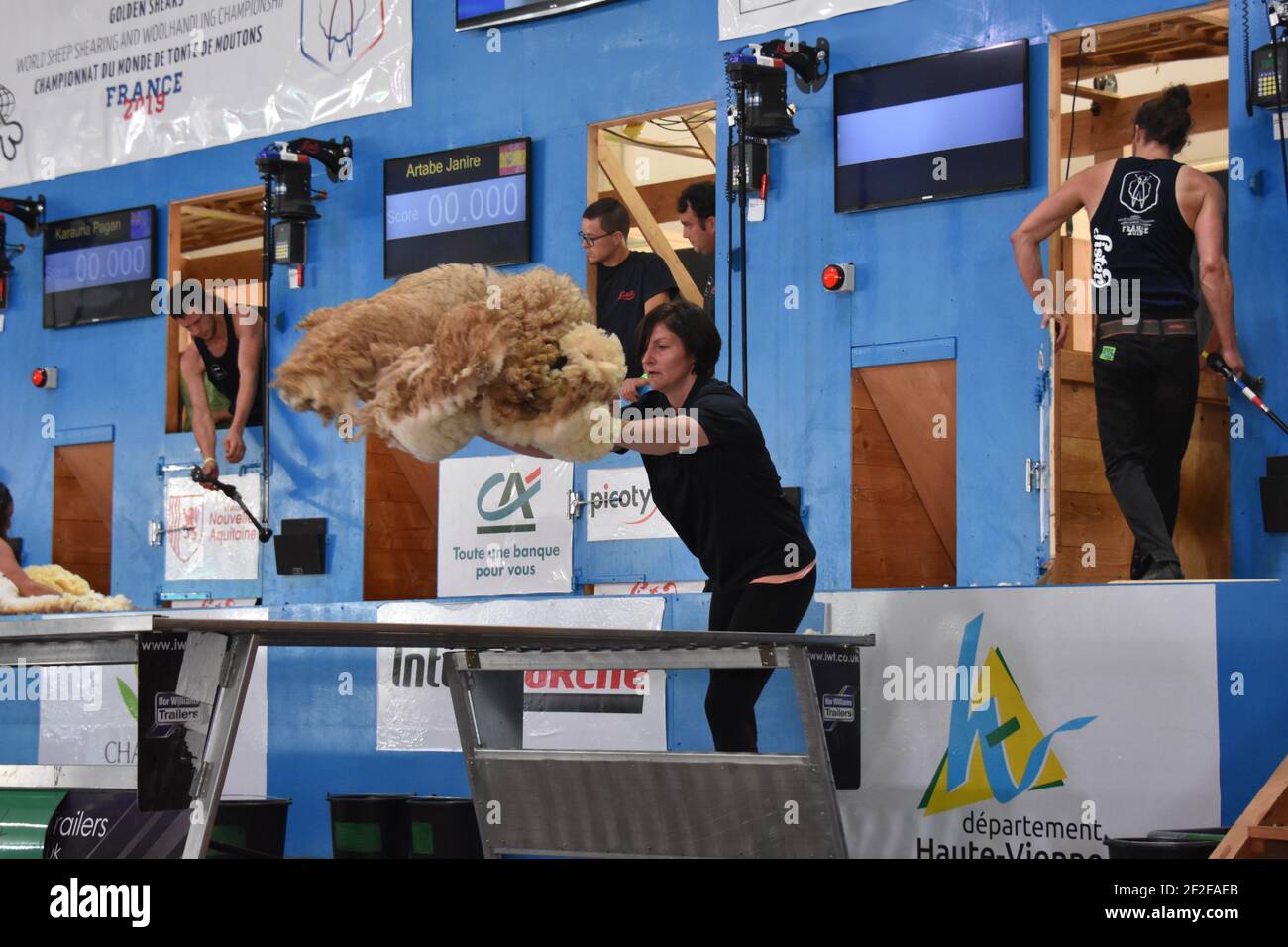 Audrey Lamb from Scotland competes at the World Woolhandling in France ...