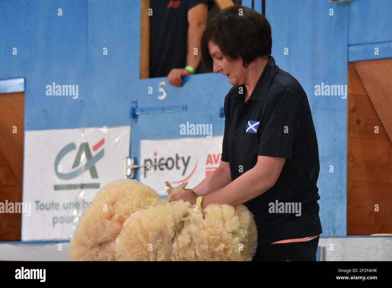 Audrey Lamb from Scotland competes at the World Woolhandling in France ...