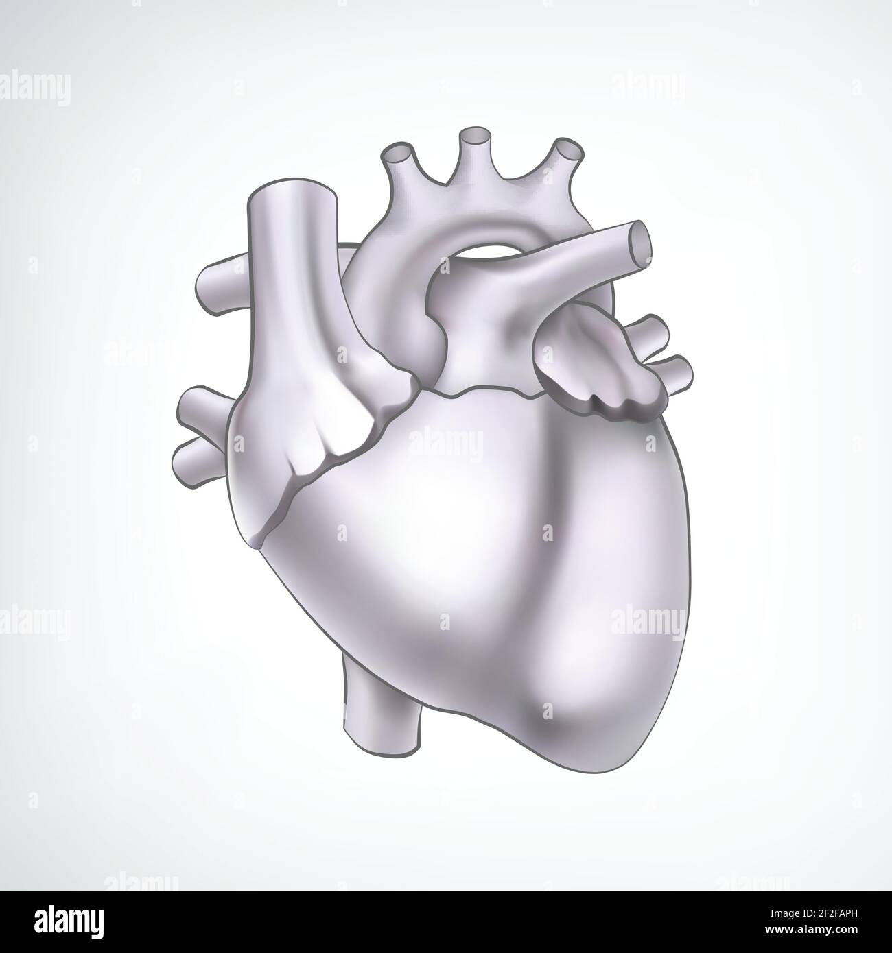 Monochrome medical organ cardio design concept with hand drawn human ...