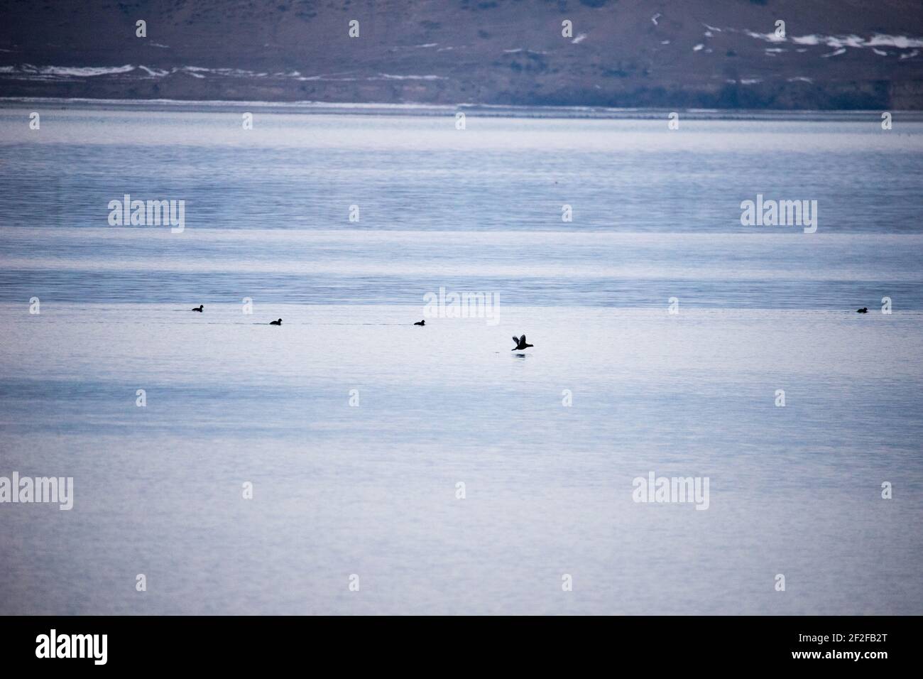 Winter Kayaking on Issyk Kol Lake in Kyrgyzstan Stock Photo - Alamy