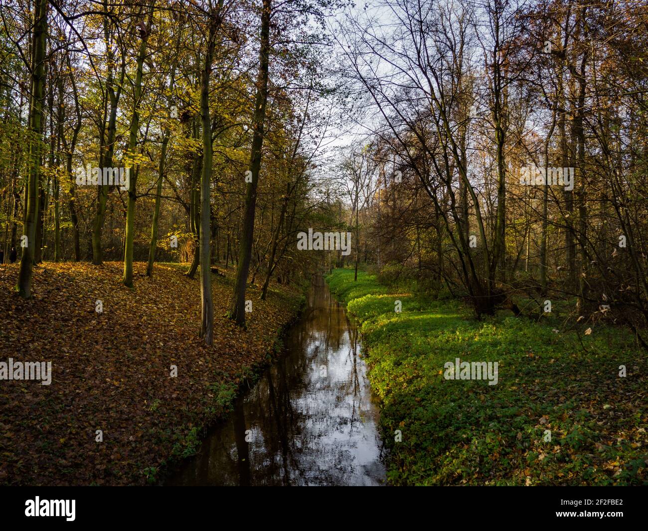 Small water stream as a magical border between two seasons. Magical ...