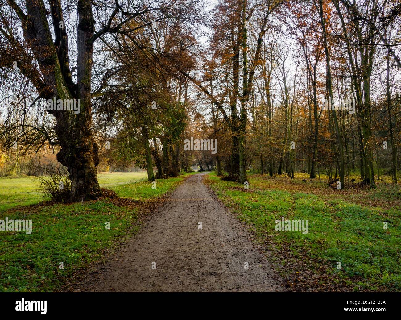 Nice walking and scenery hi-res stock photography and images - Alamy