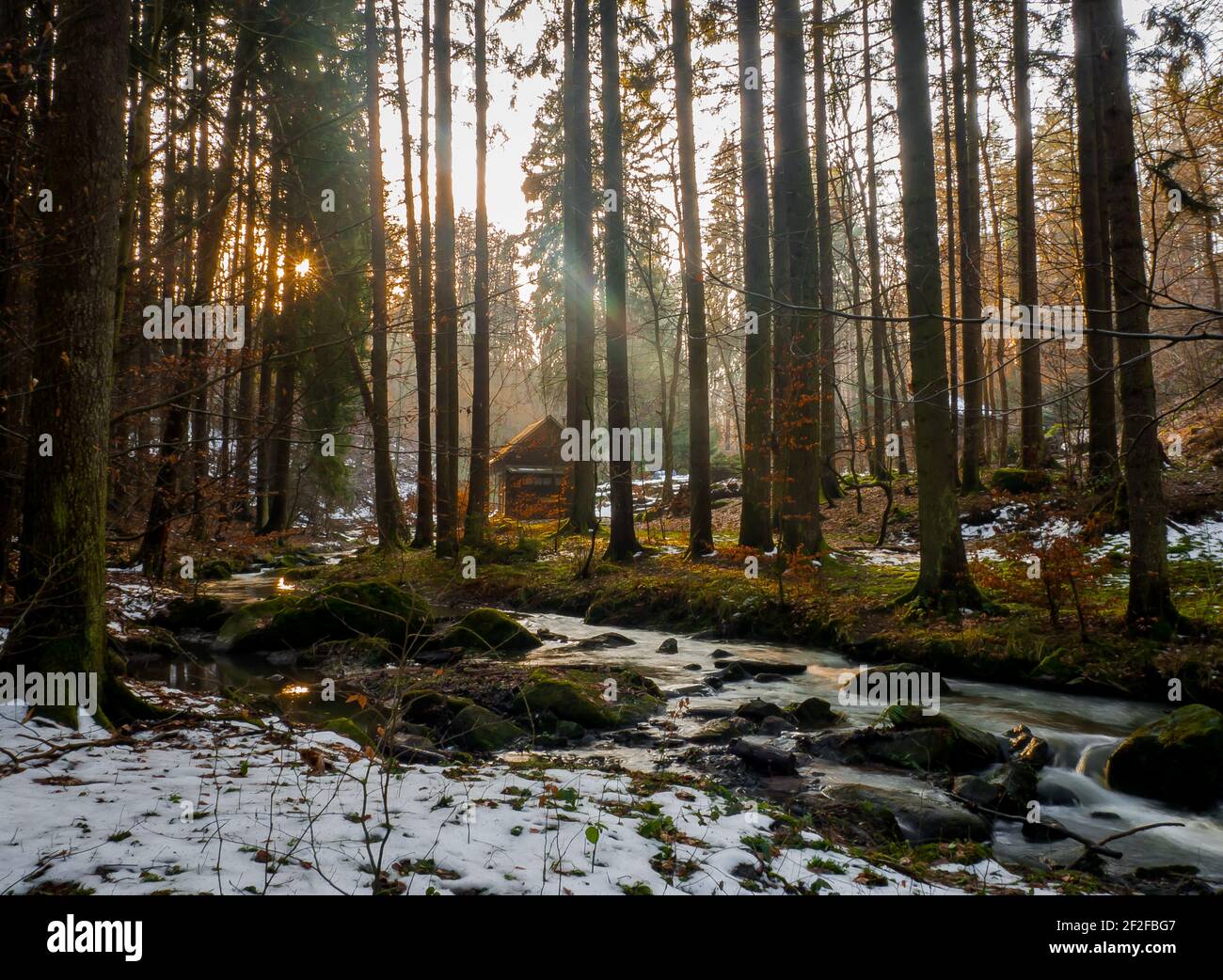 Mystical lonely hut hidden deep in magical woods during the winter with ...