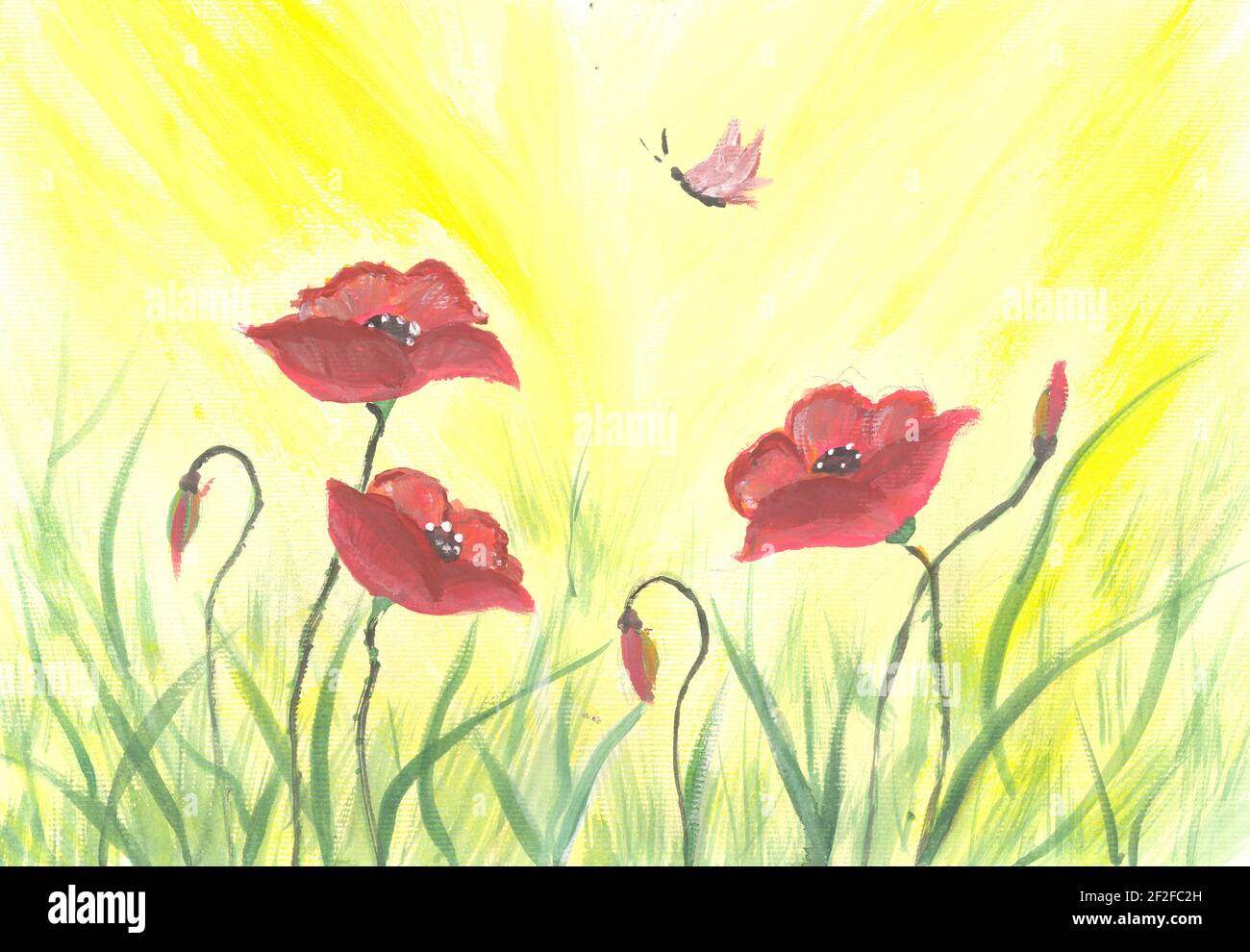 Red poppy field scene Stock Photo - Alamy