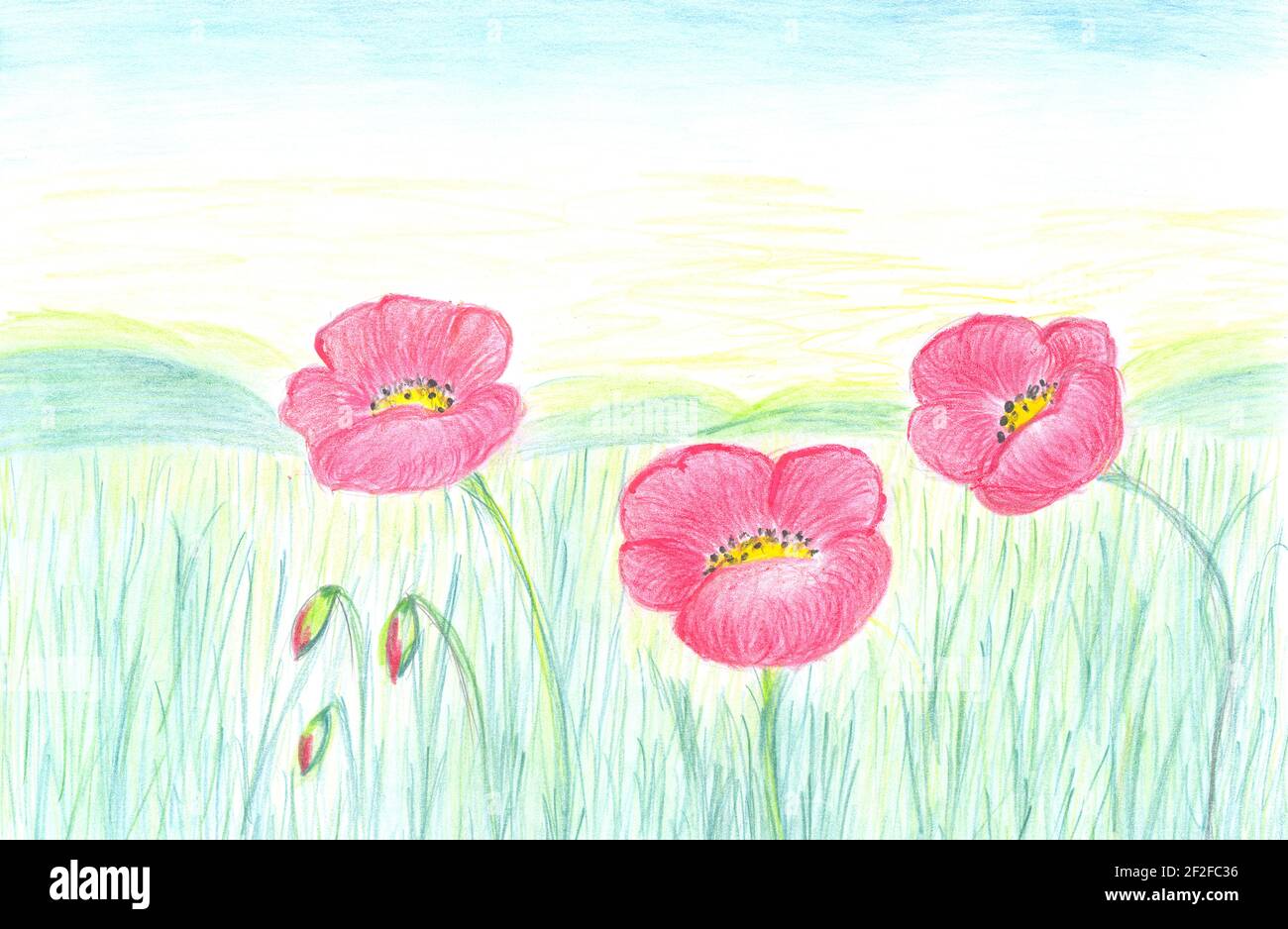 Red poppy field scene Stock Photo - Alamy