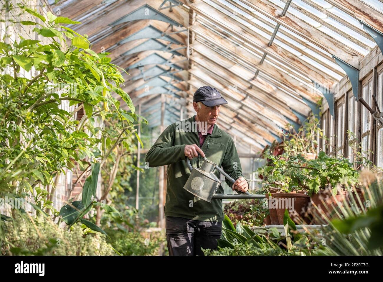 Head gardener, Andrew Humphris at Parham House and Gardens, waters the ...