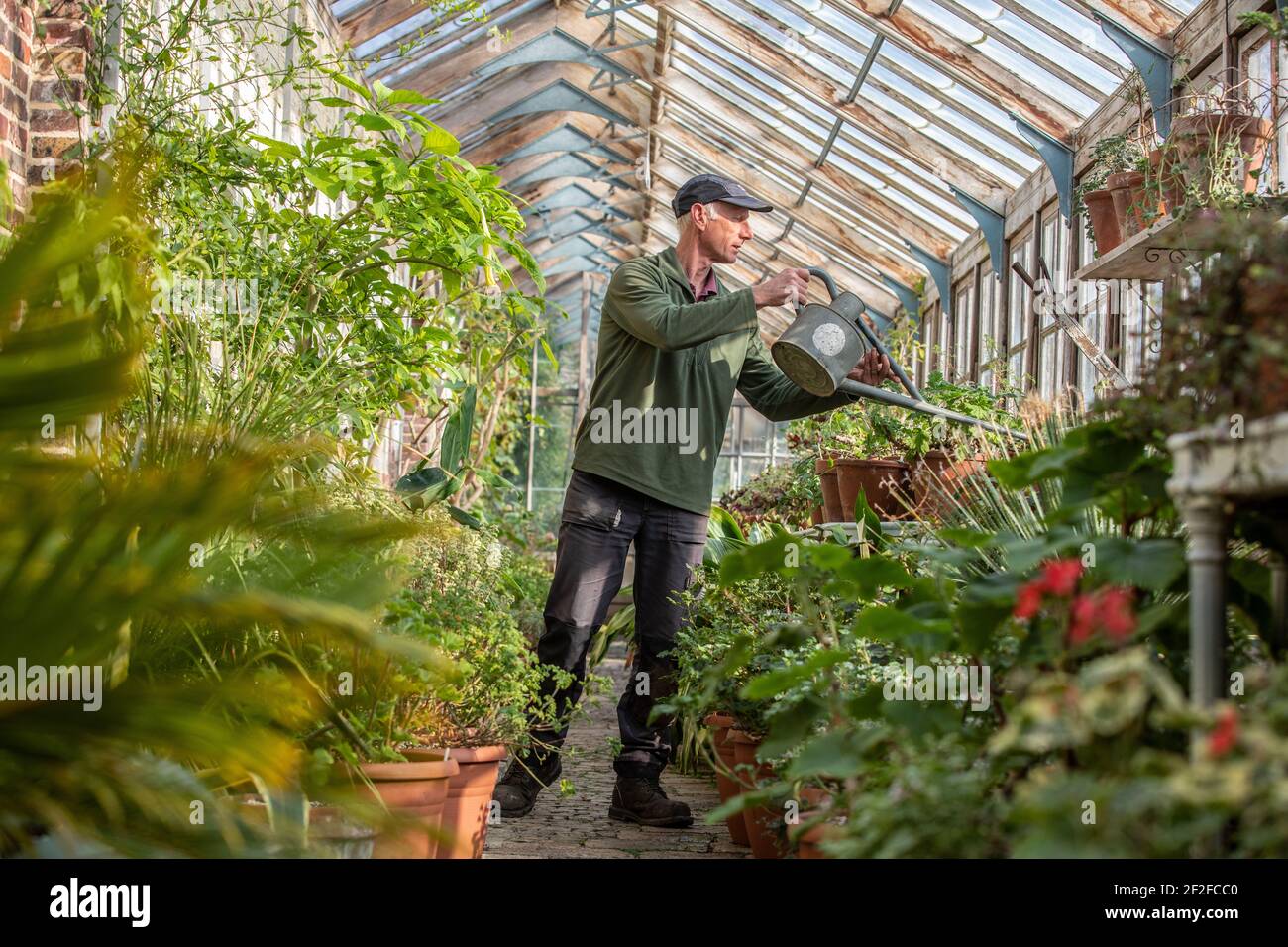 Edwardian stately home hi-res stock photography and images - Alamy