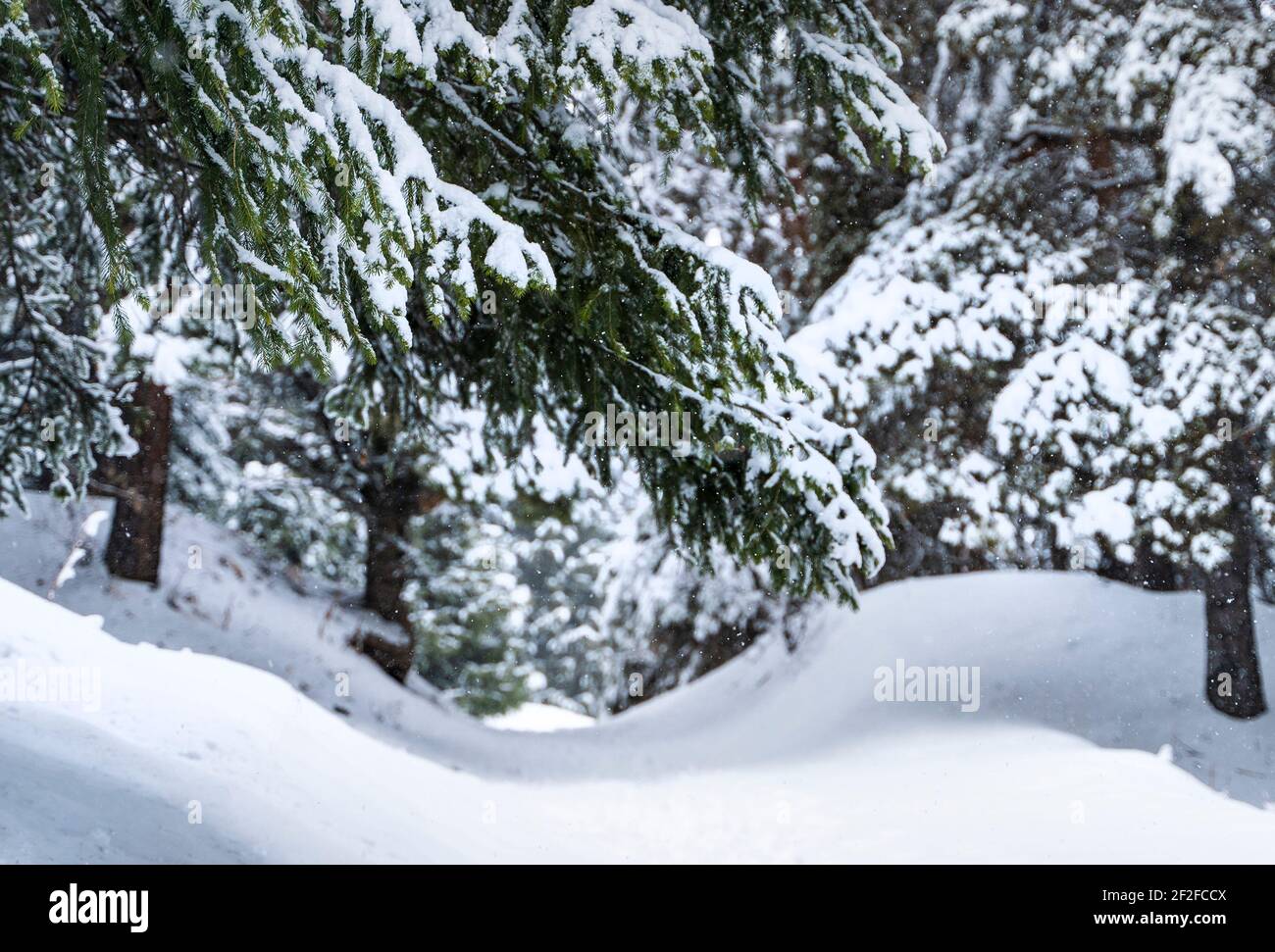 Cloud snowing cold nature hi-res stock photography and images - Alamy