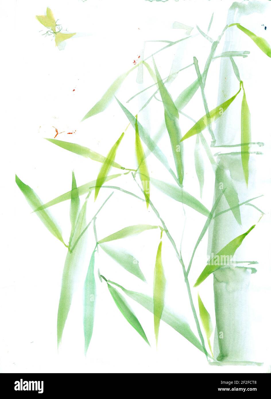 Card with green bamboo in chinese style. Hand-drawn traditional ...