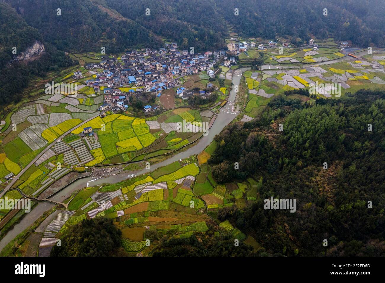 Aerial photos of rape flowers in Xiangxi Tujia and Miao Autonomous ...