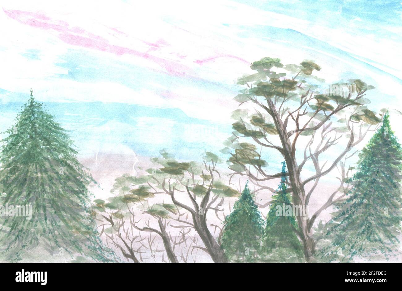 Watercolor drawing, illustration. Forest landscape, fir, pine, tree ...