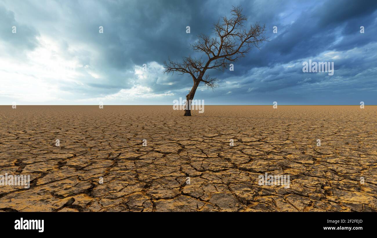 Concept or conceptual desert landscape with a parched tree as a ...