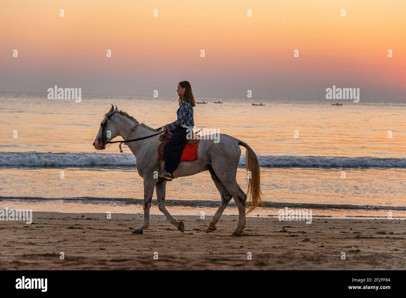 Horse, rider, sunset on Agonda beach, Goa, India Stock Photo - Alamy