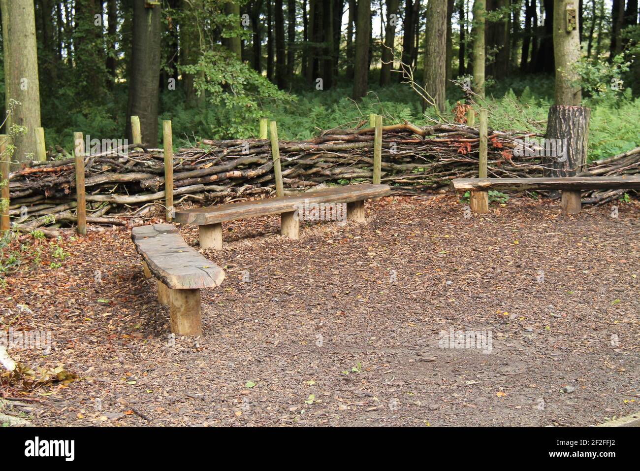 Some Wooden Bench Seats in a Woodland Rest Area Stock Photo - Alamy