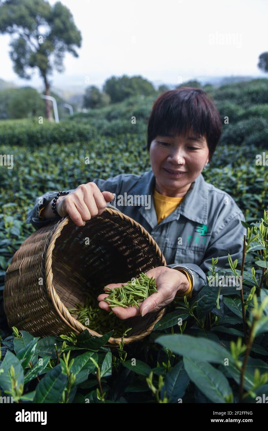 Hangzhou, China's Zhejiang Province. 12th Mar, 2021. A farmer shows ...