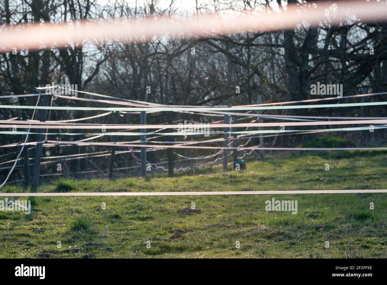 Life at farm hi-res stock photography and images - Alamy