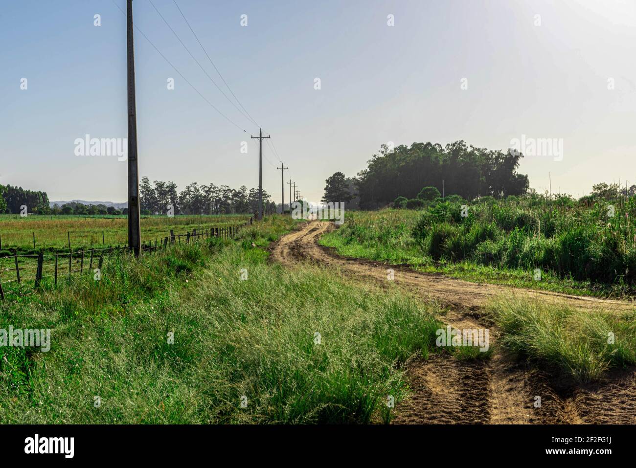 Dirt road. farm area. Transport and electricity transmission ...